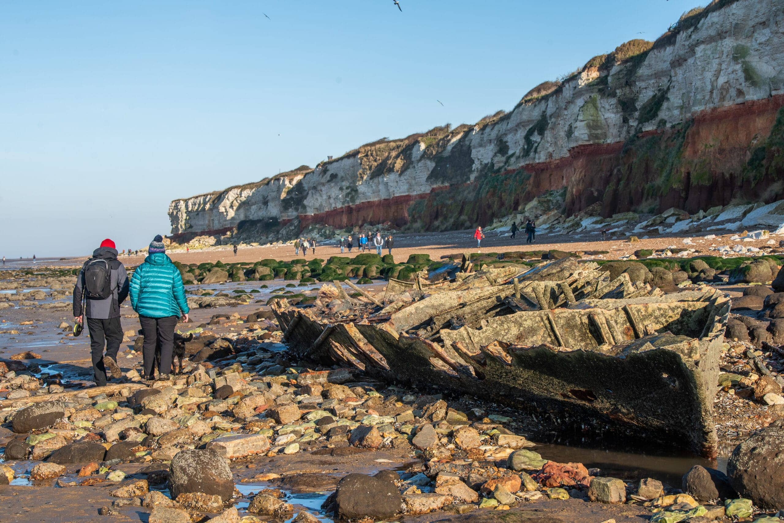 Chalk and Fossils - Be Norfolk