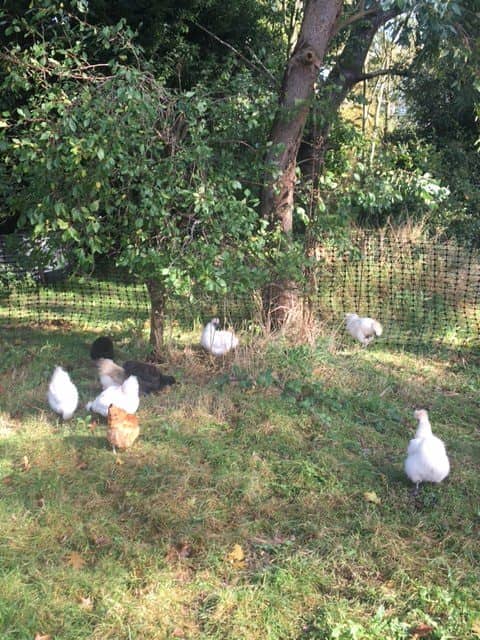 Permaculture for Sustainable Living - Be Norfolk