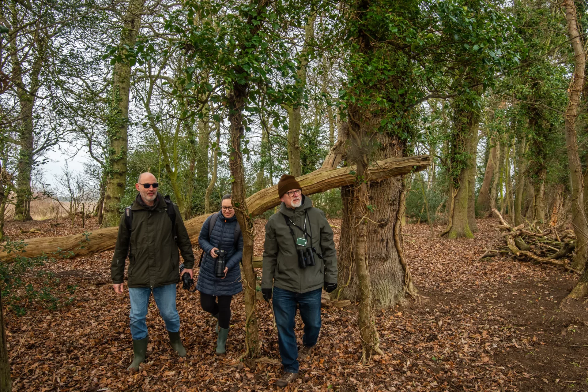 The Legend of Babes In Wayland Wood - Be Norfolk